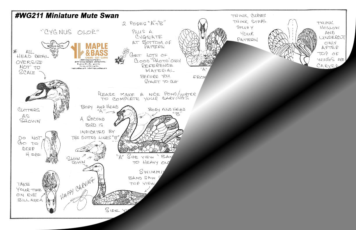 Mute Swan Miniature Swimming Wings Gate Pattern #WG211