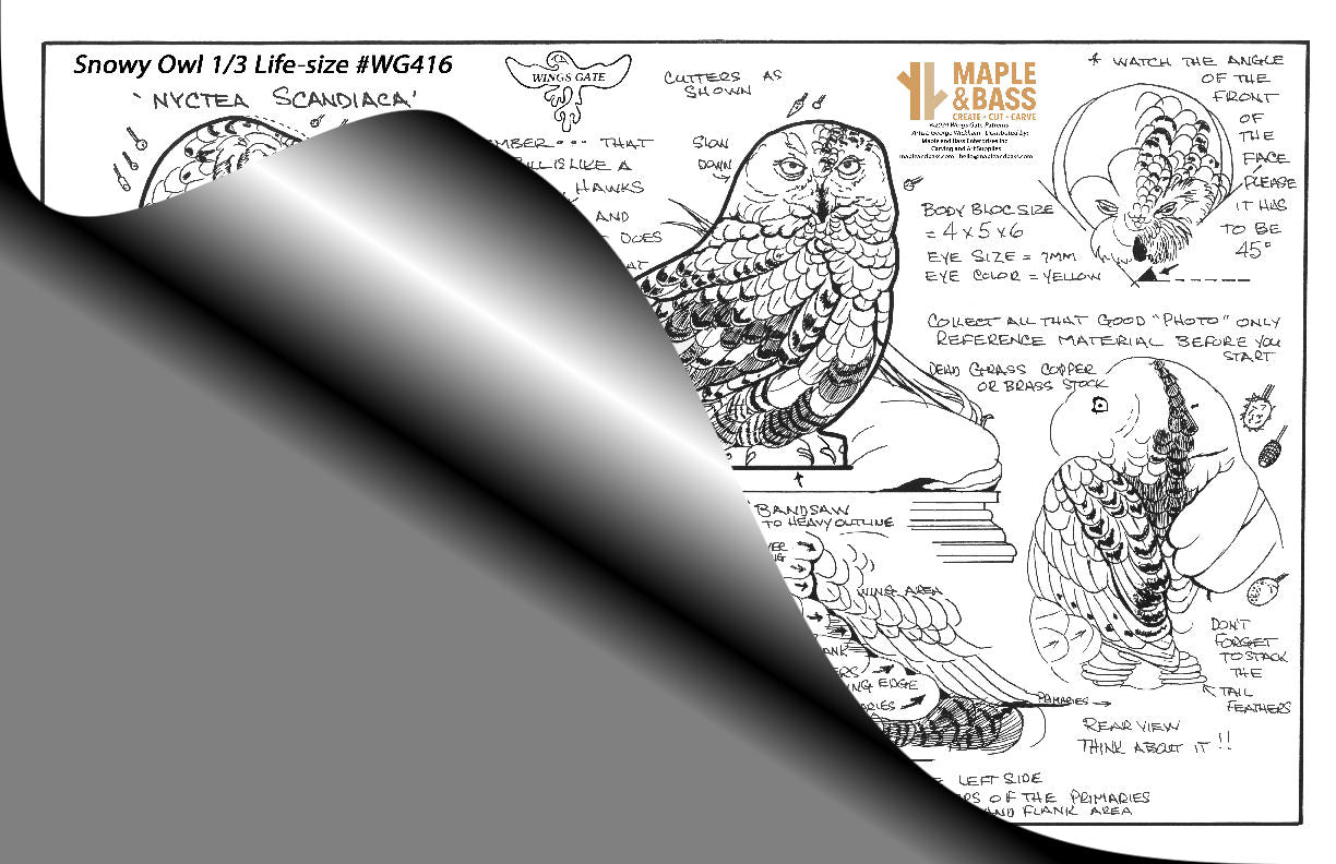 Owl, Snowy, Perched 1/3 Life Size Wings Gate Pattern 11x17 #WG416
