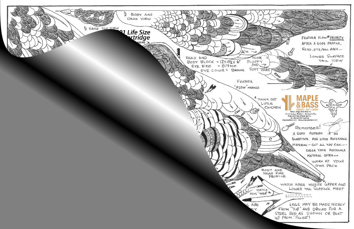 Chukar Partridge Life Size Wings Gate Pattern 11x17 #WG501