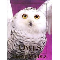Owls