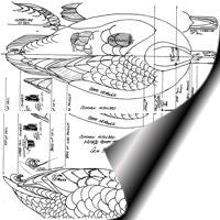 Duck, Mallard - Male, 3/4 Life Size Pattern