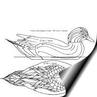 Duck, American Wigeon - Male, 3/4 Life Size Pattern