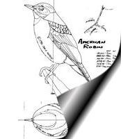 Robin - Perched, Life Size Pattern