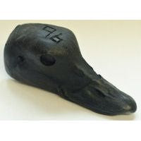 Duck, Oldsquaw Male - Study Bill